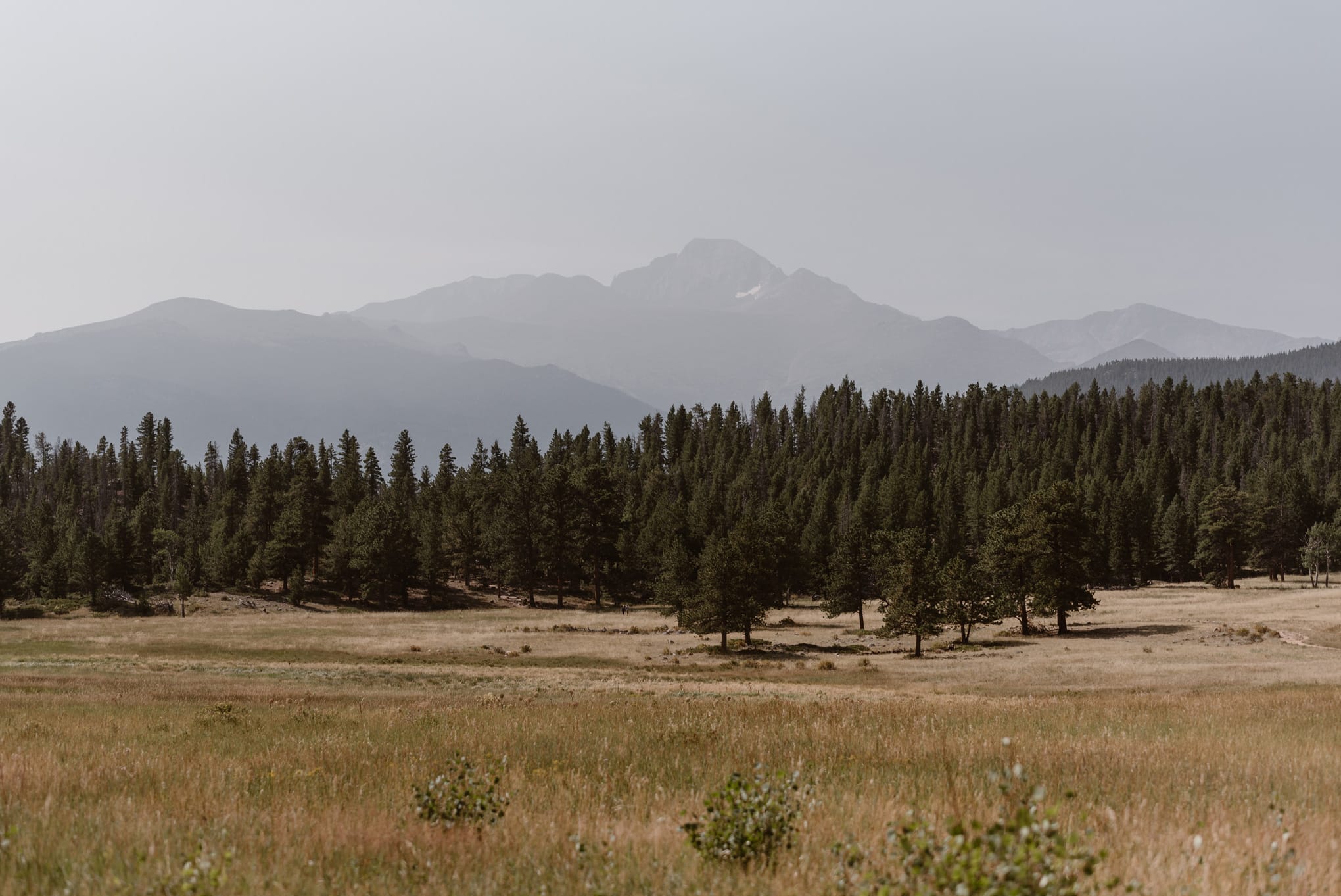 Rocky Mountain National Park Wedding Guide