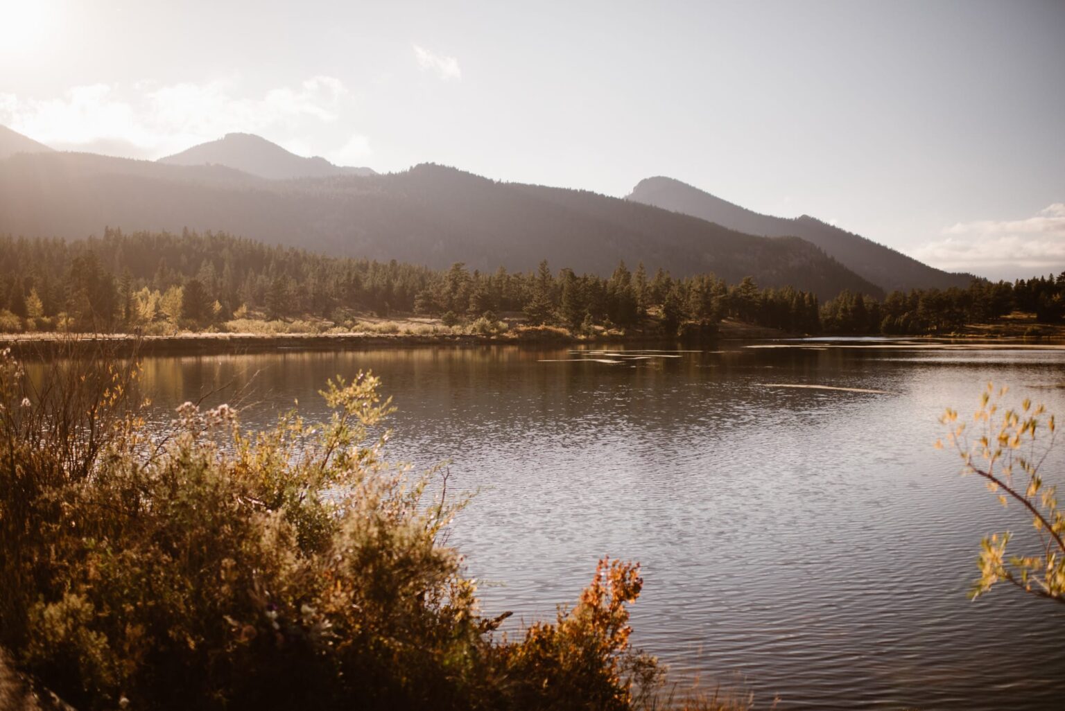 Lily Lake Wedding Guide - Rocky Mountain National Park