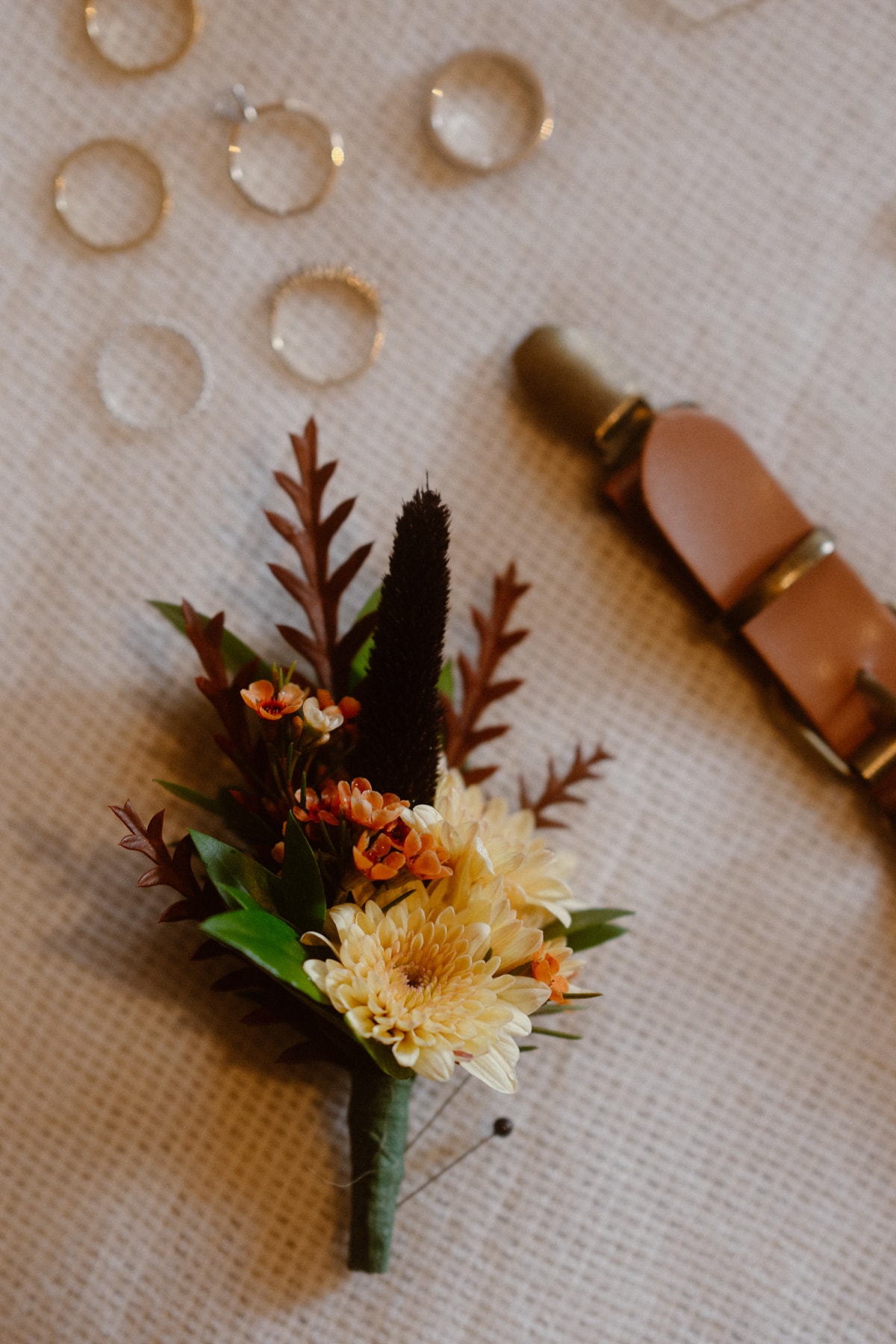Upper Beaver Meadows Elopement