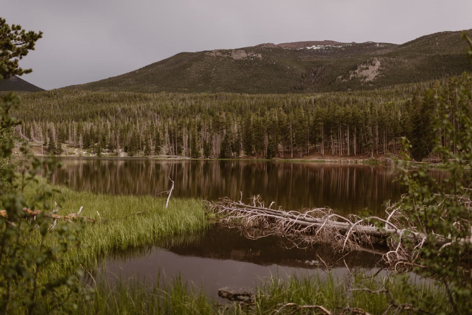 Sprague Lake Wedding Guide in Rocky Mountain National Park