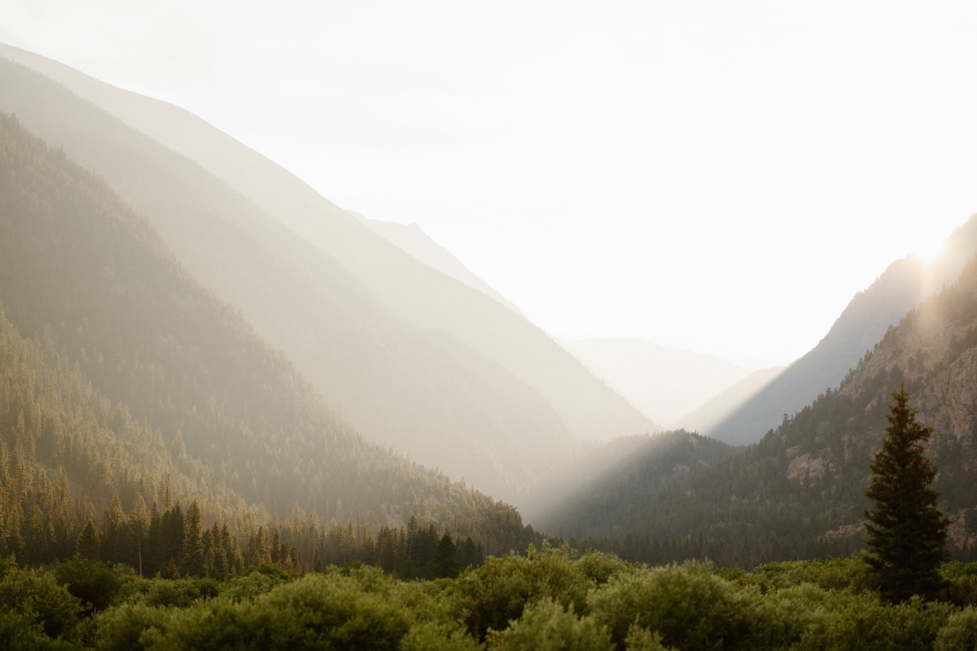 A Guide to Engagement Photos in Rocky Mountain National Park